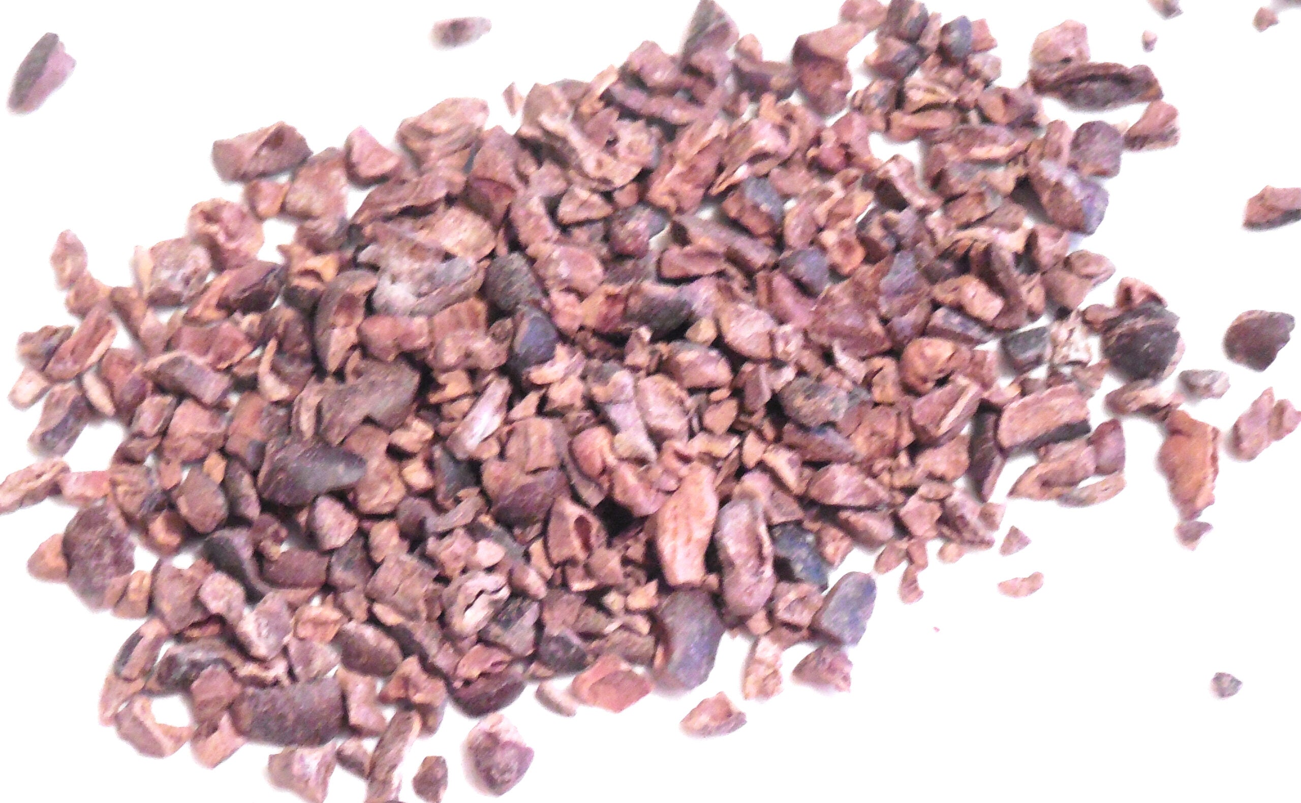 "Chocolate Talk Bits and Nips – True Treats Candy"