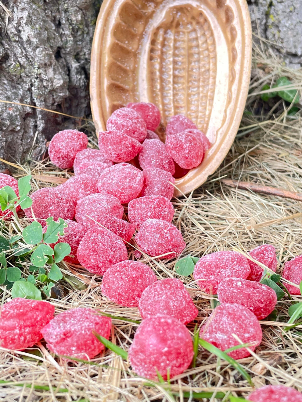 Native Choke Cherry Drops – True Treats Candy